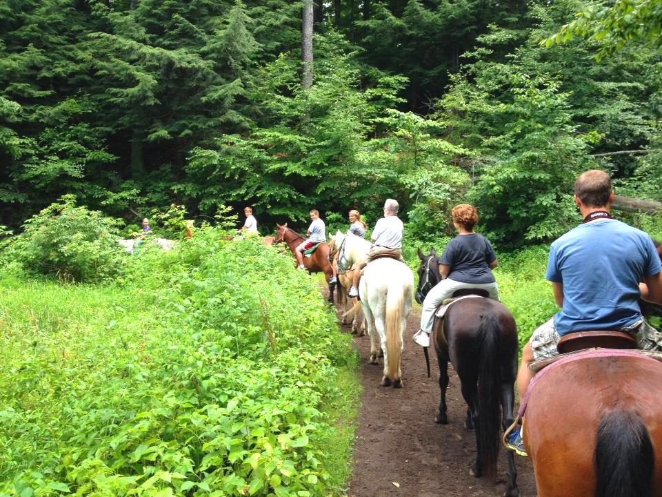 stony lake stables - stonylakestables.com